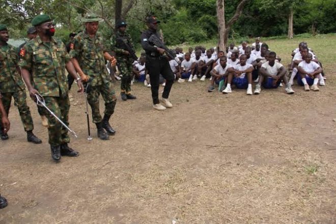 Nigerian Army Shortlisted Candidates 2024/2025 For DSSC/SSC | Check ...